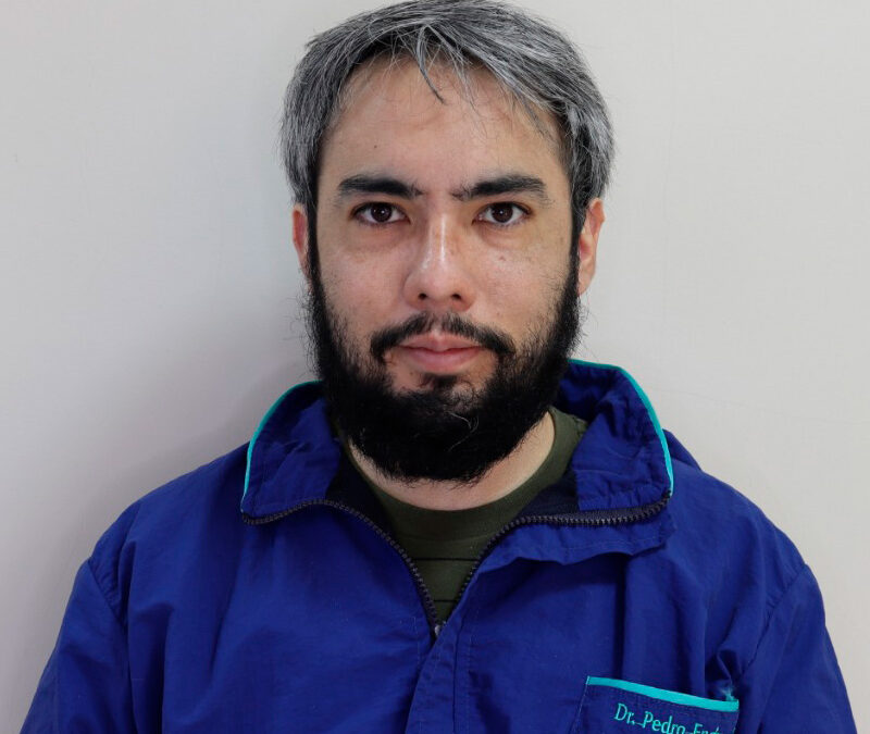 Proyectos | Dynamica